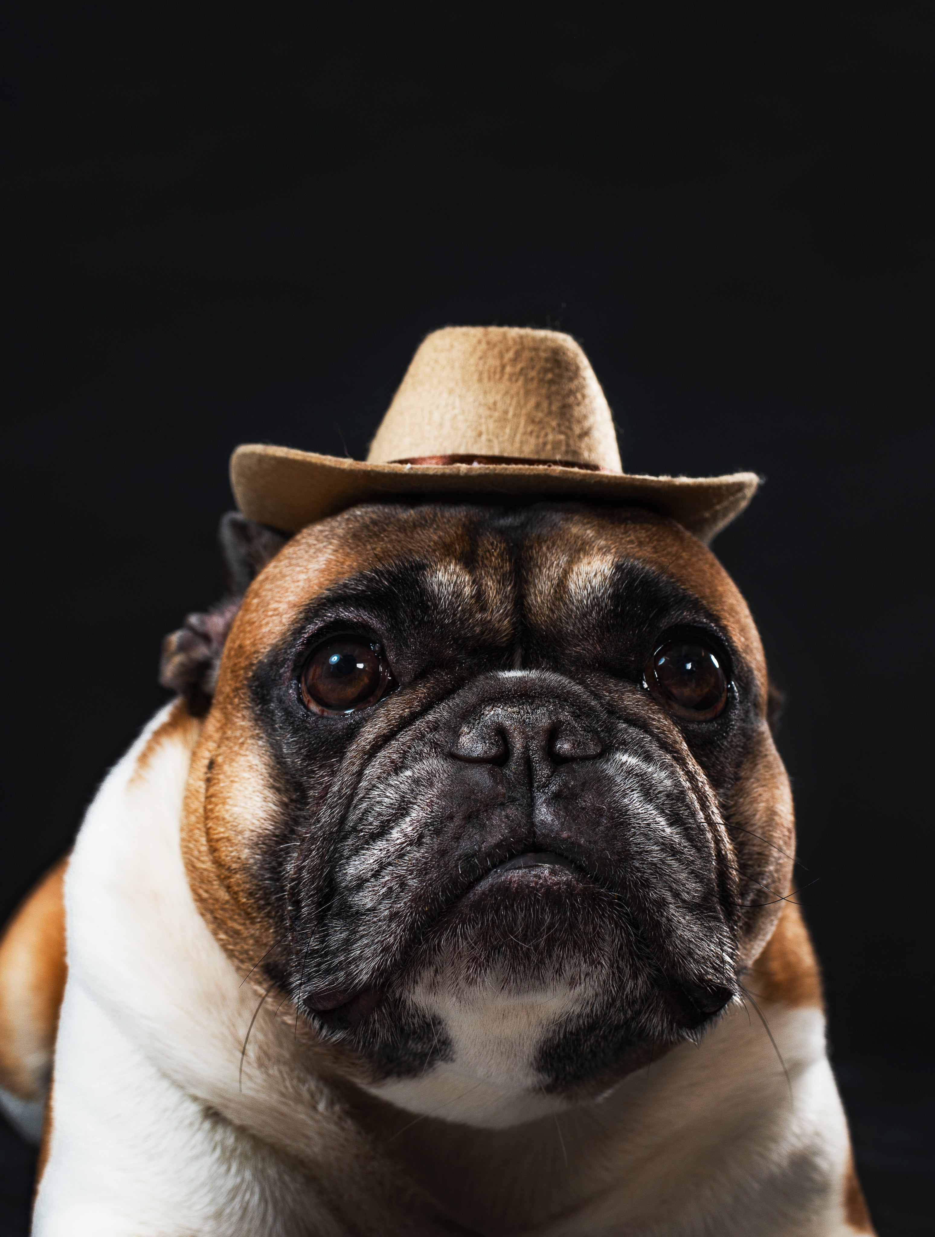 Ruff Life Rescue Wear - Apparel and accessories for humans and pets!
